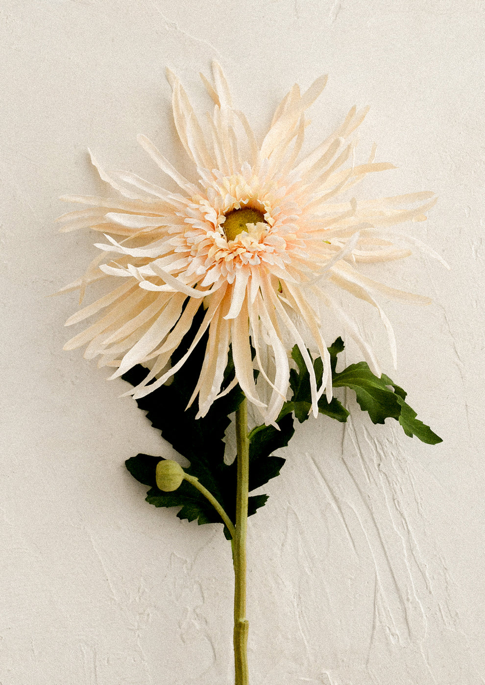 Faux Spider Mum Spray – LEIF