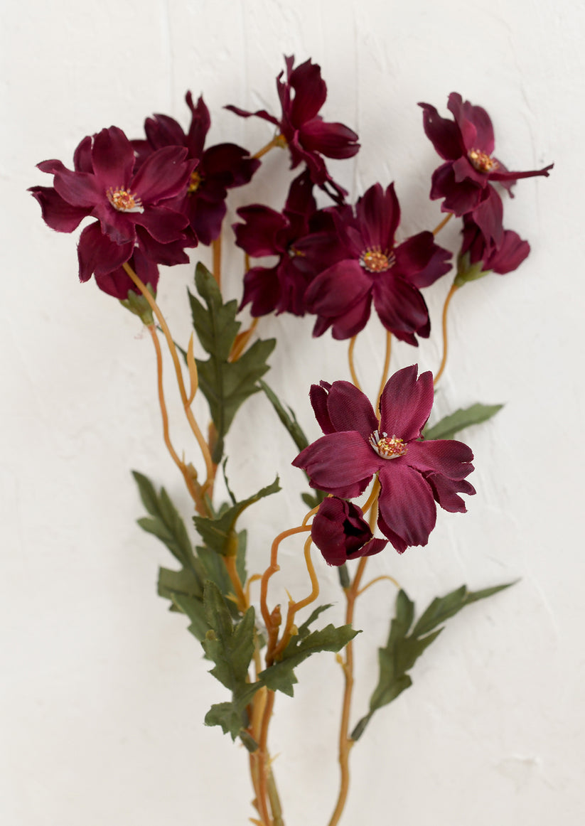 Faux Mini Cosmos Spray – LEIF