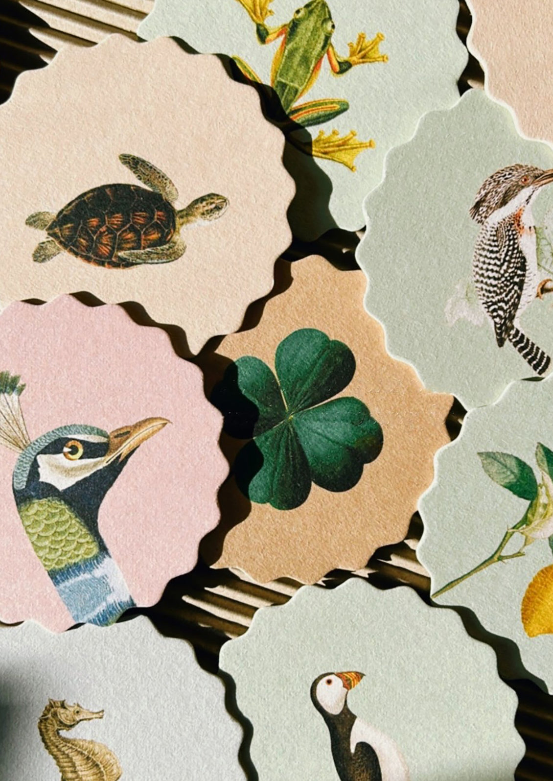 Scalloped Paper Coaster Set – LEIF