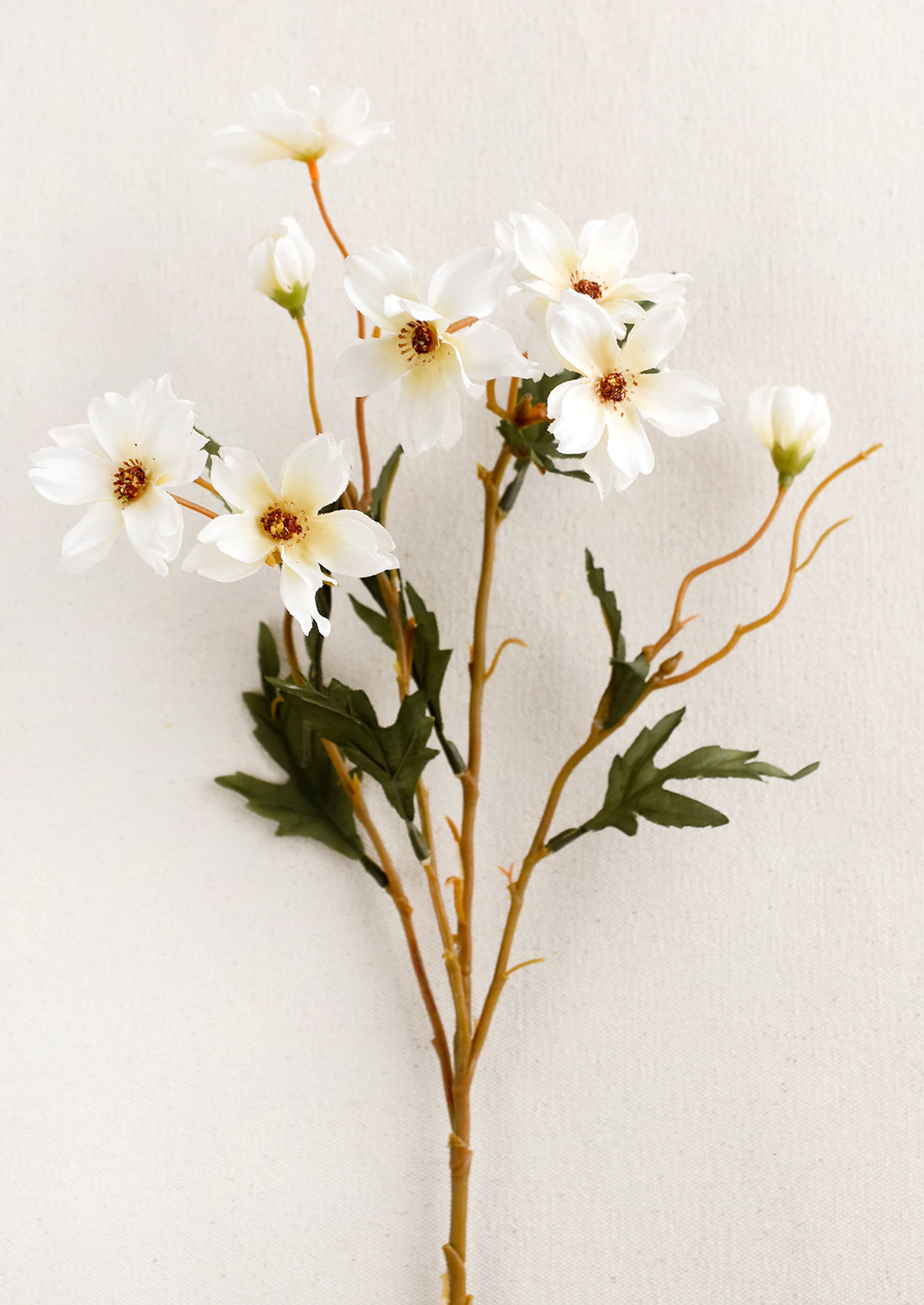 Faux Mini Cosmos Spray – LEIF