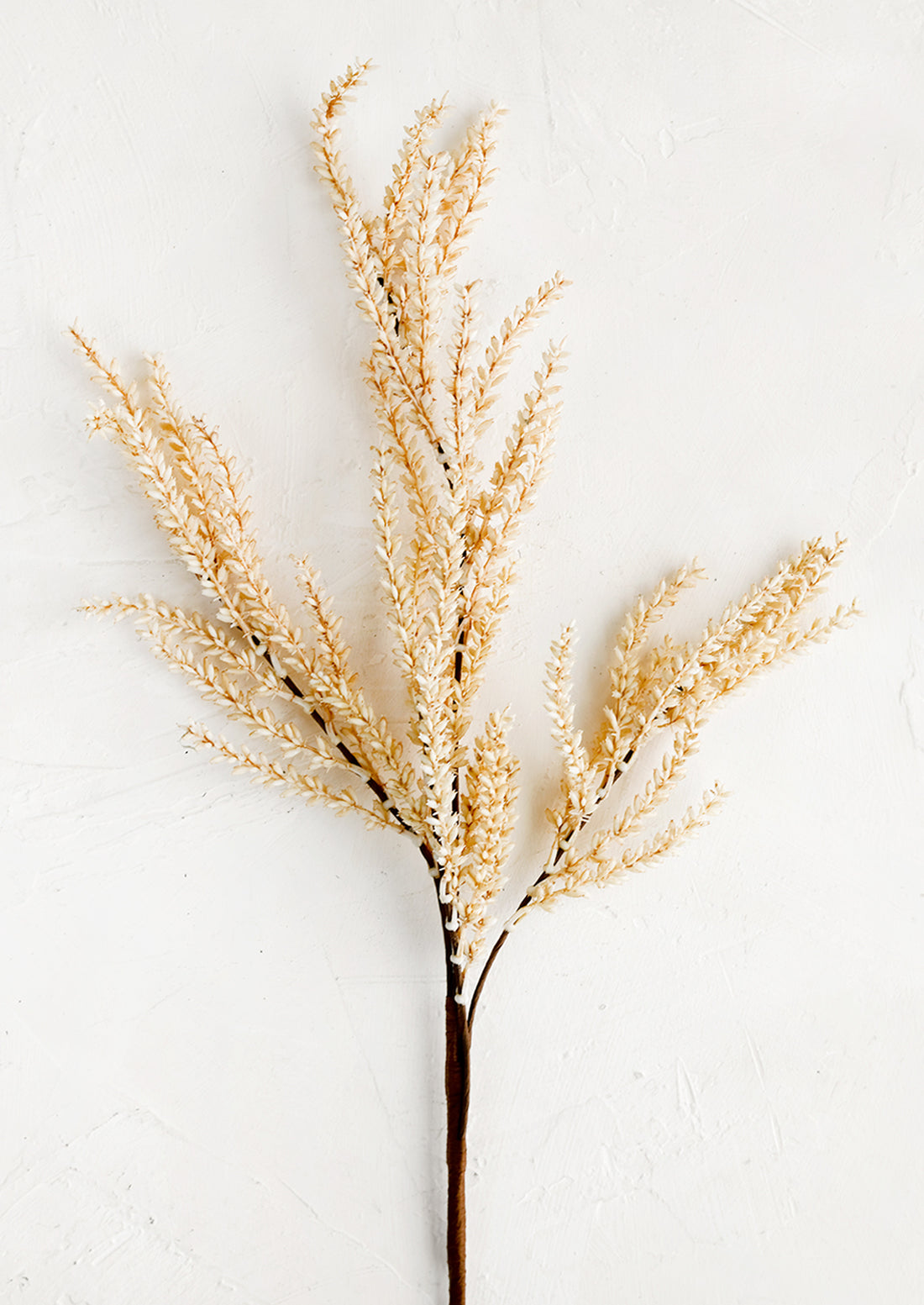 Faux Wild Oat Spray – LEIF