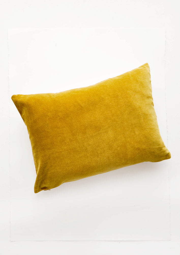 Muted Velvet Pillow